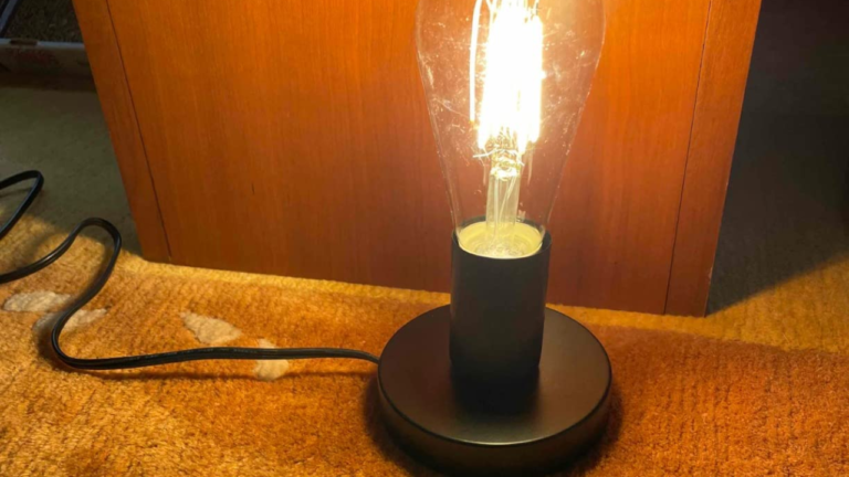 What is the Function of a Lamp Holder? Explained!