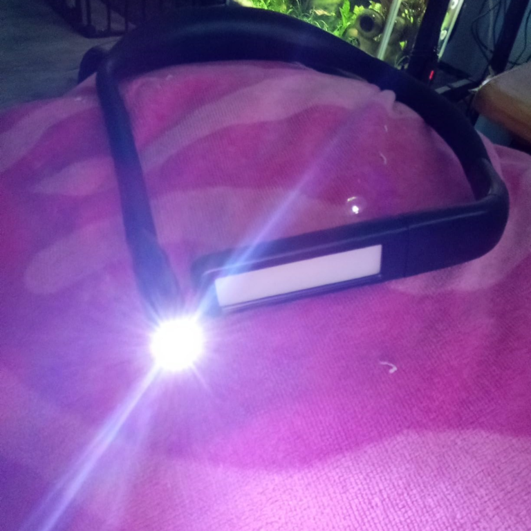 Which Are The Best Lamps For Reading in 2025