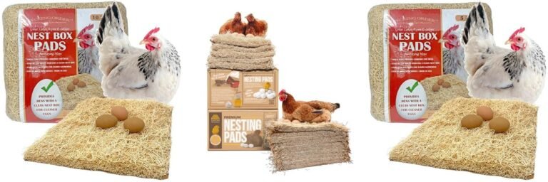Top 5 Chicken Nesting Materials: Your Coop Guide
