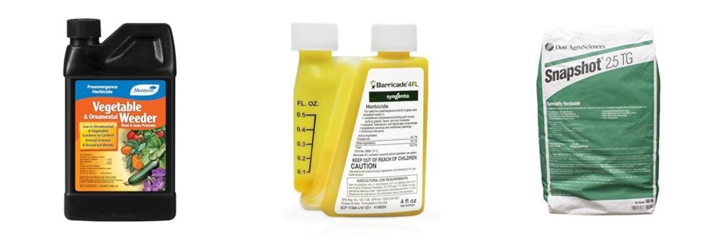 Best Pre-Emergent Herbicide For Corn: A Guide