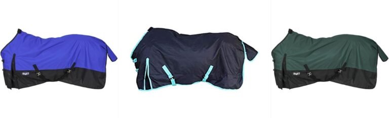 Top 5 Waterproof Rain Sheets for Horses Reviewed