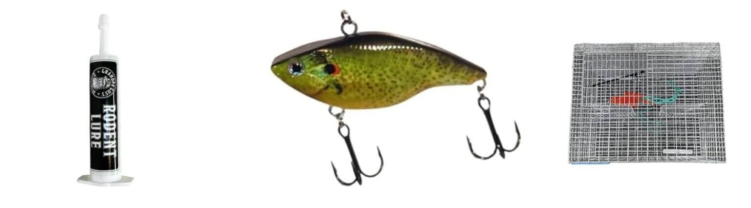 Best Bait For A Perch Trap - Top 5 Picks & Review